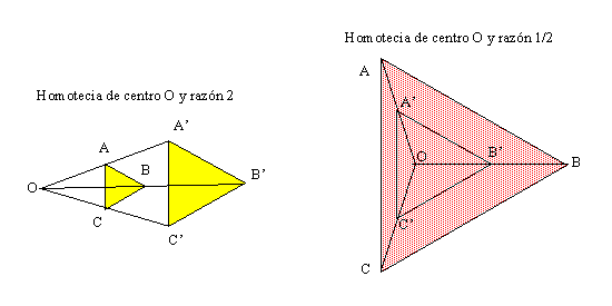 TEMAS DE APOYO: HOMOTECIAS