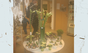 Blomsterdekoratørene på Skjetlein vgs: Dagen etter