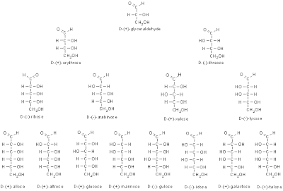 kem korner: Molecular Structures of the Aldoses and the Ketoses