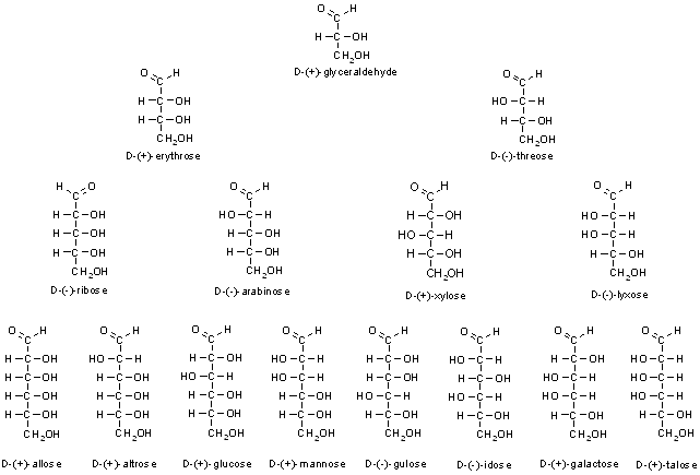 kem korner: Molecular Structures of the Aldoses and the Ketoses