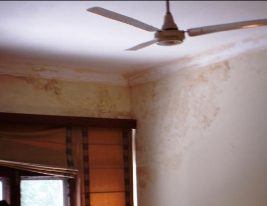 Valorização Imobiliária: Humidade ou Condensação