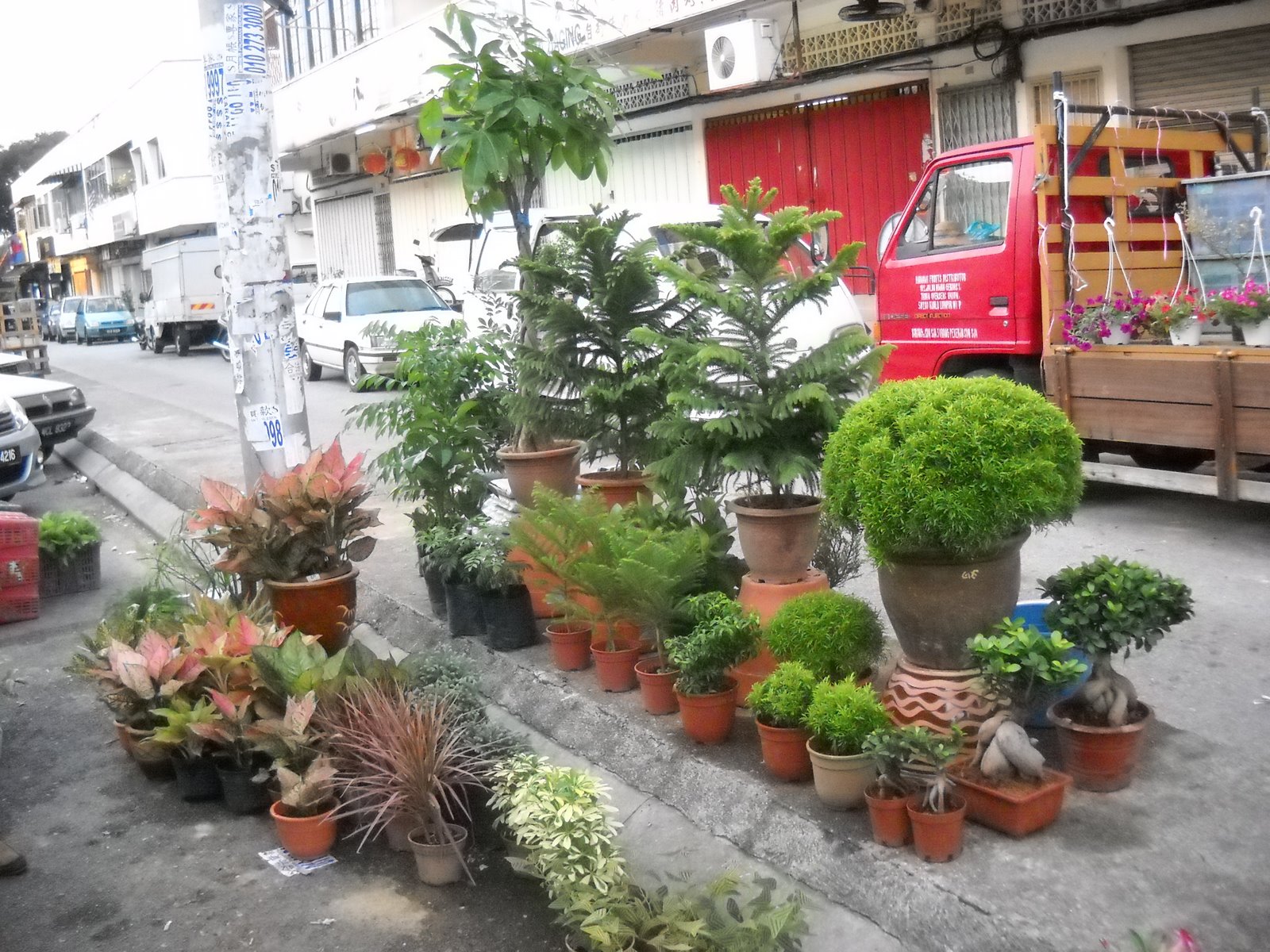 Stories from Around the World: Flower stall OUG market
