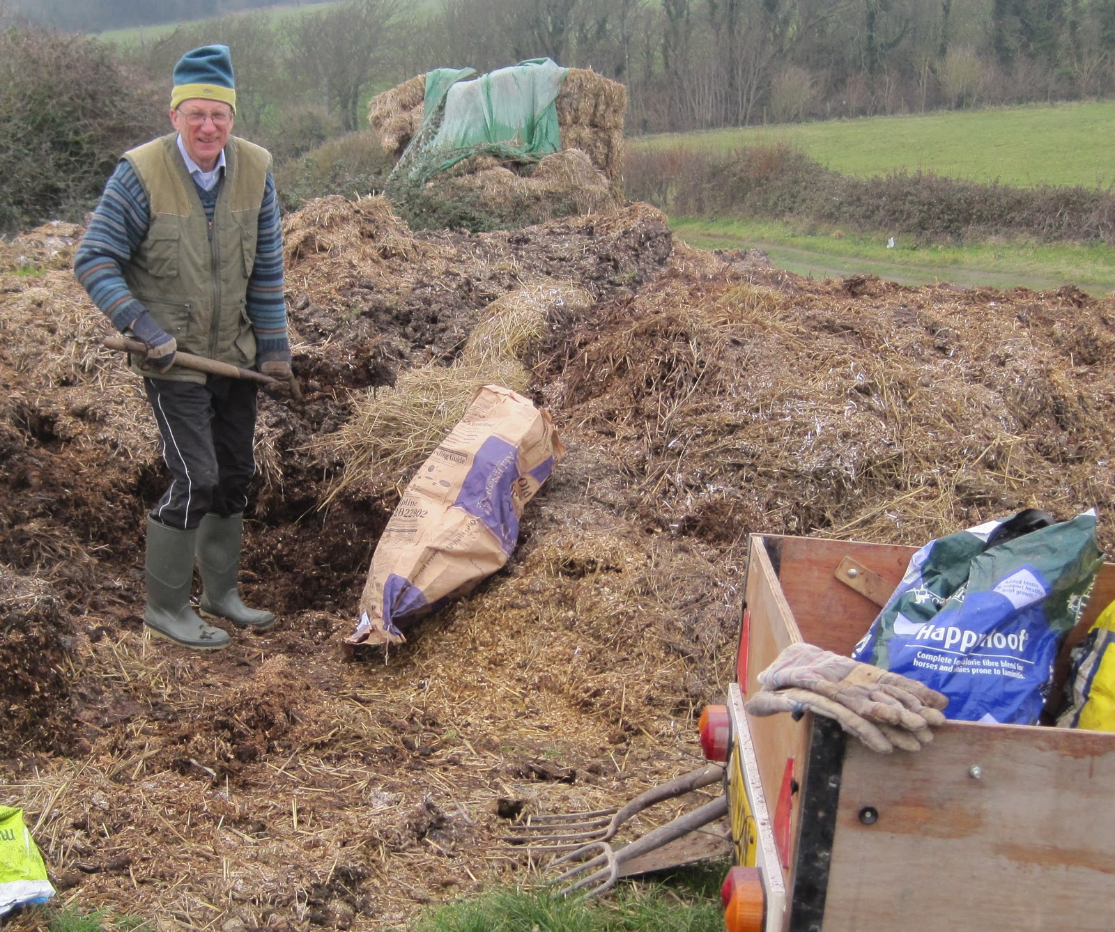 Digging for Health: A load of old poo...