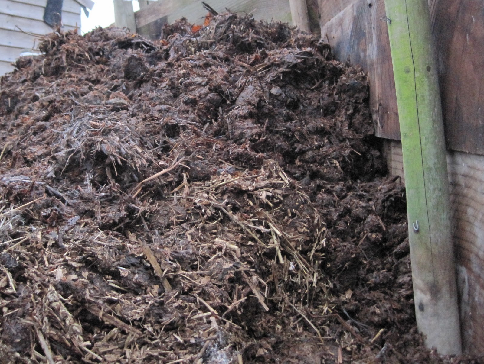 Digging for Health: A load of old poo...