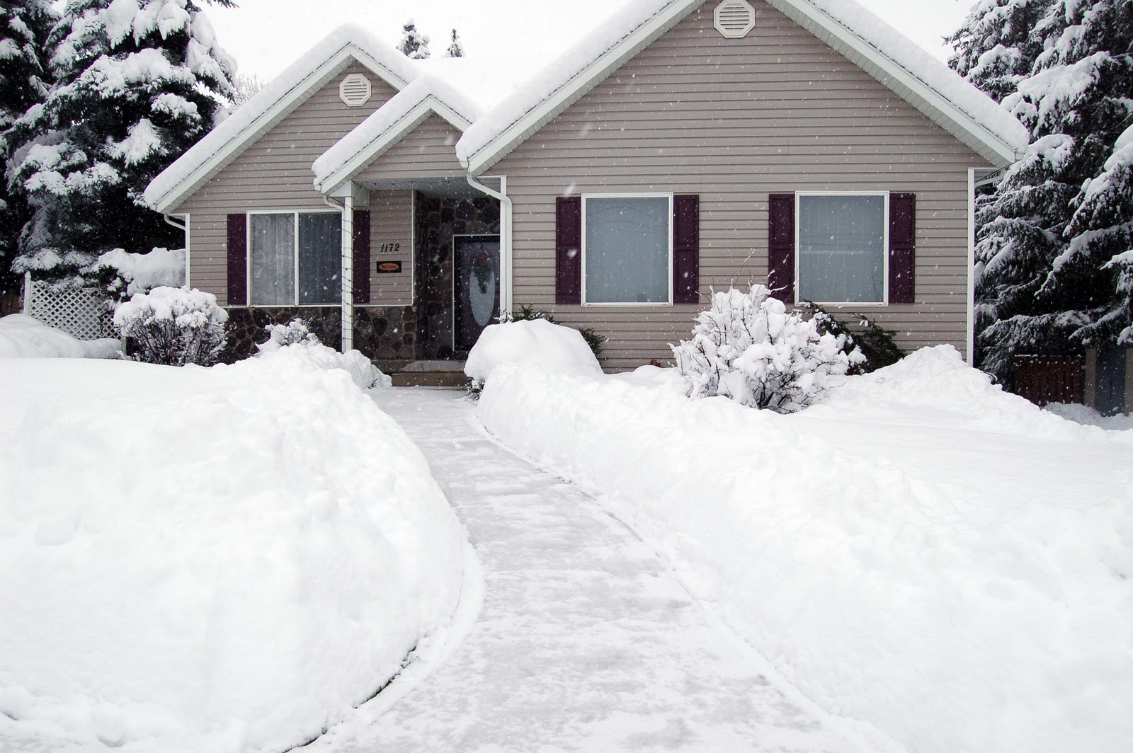 Strandz - Allison Anderson: Snow, Snow and more Snow