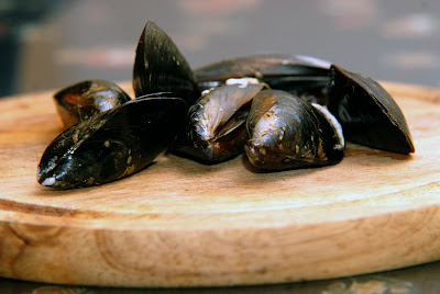 What is it all about?: Dagnje