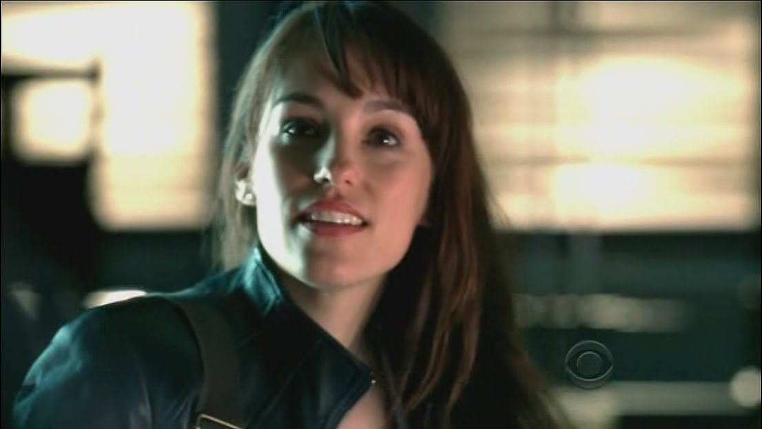 Flashpoint: Jules apresenta-nos Steve ~ Amy Jo Brasil - Amy Jo Johnson ...