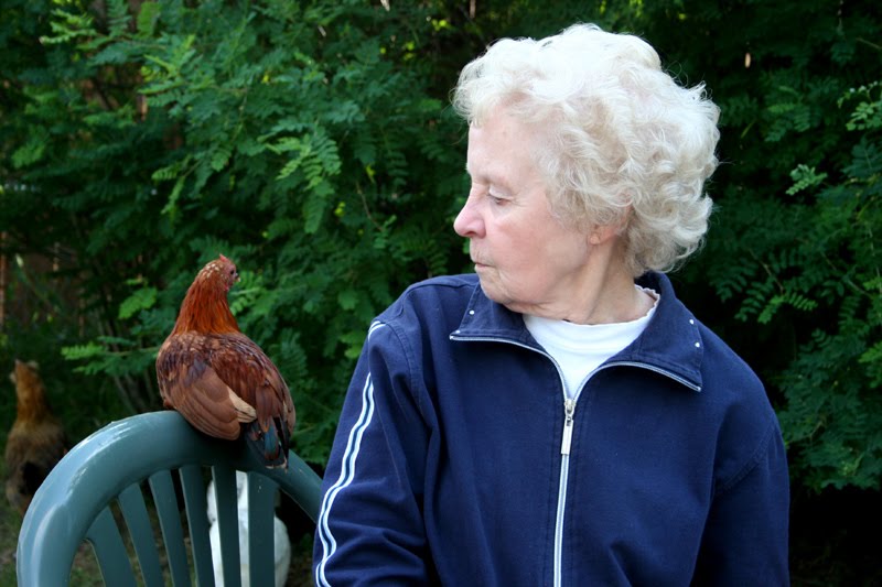 Animal Crackers: New Hen House & Pizza Party With Chickens