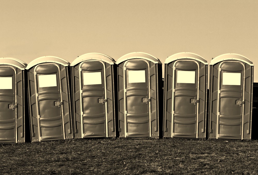 Mad Aunt Bernards Tortoise Poetry: The Portaloo Question?