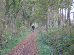 The Peter Apted Downs Link Memorial Bike Ride