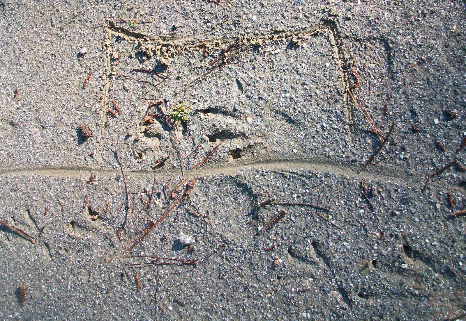 The Garden Ramblers Blog: 05/05/10