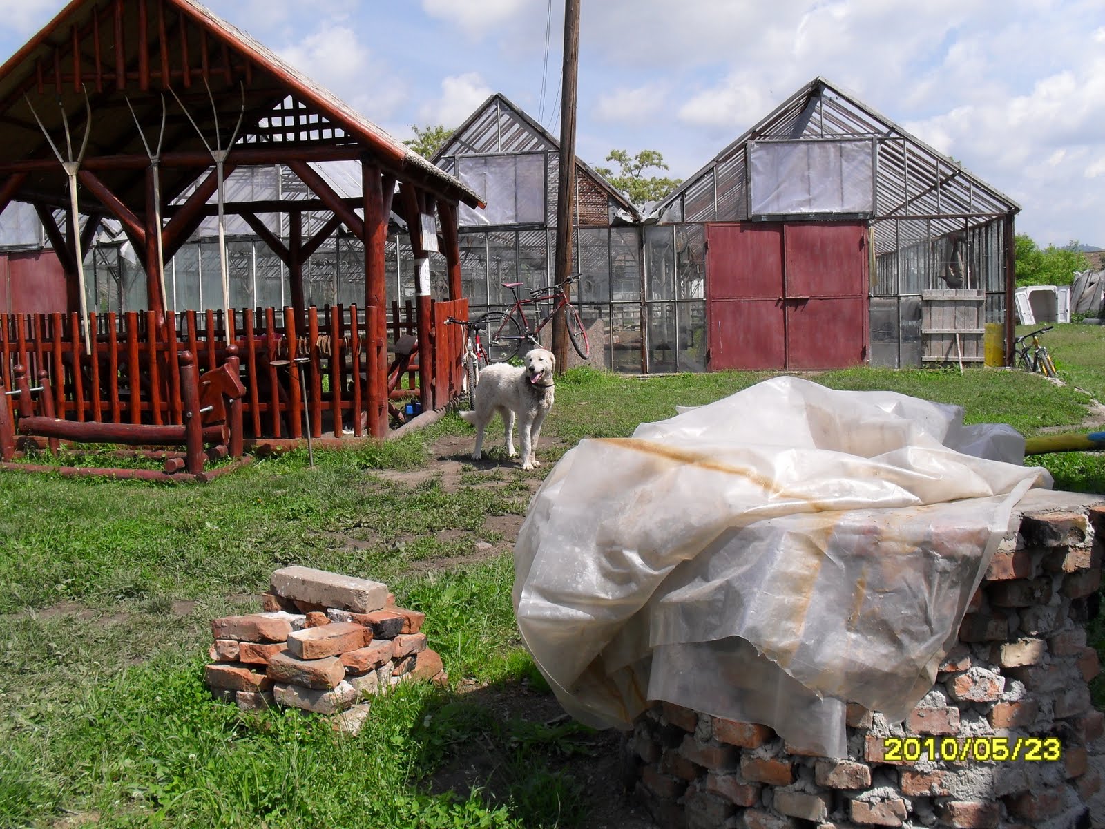 Lovas oldalam: Képek rólam, barátnőimről és a lovakról