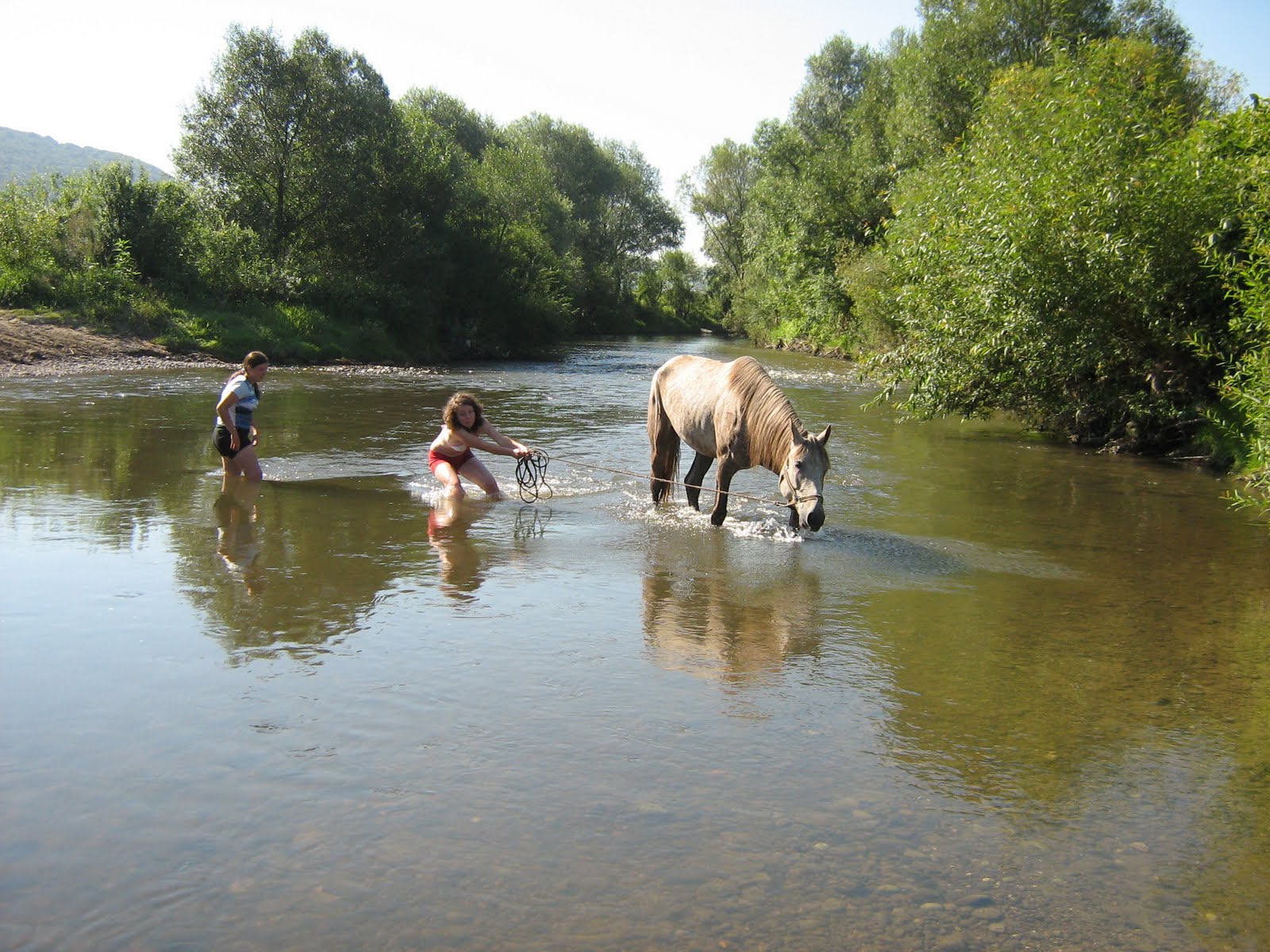 Lovas oldalam: Képek rólam, barátnőimről és a lovakról