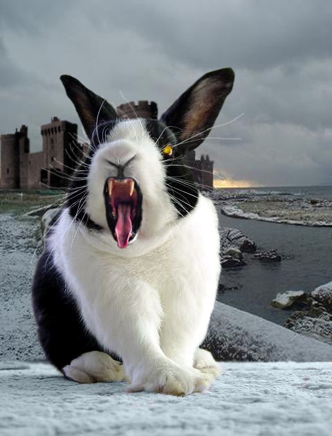 CasablancaPA: THE KILLER RABBITS OF CAERBANNOG - ER, HARRISBURG