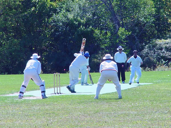 Cricket: Michigan cricket association