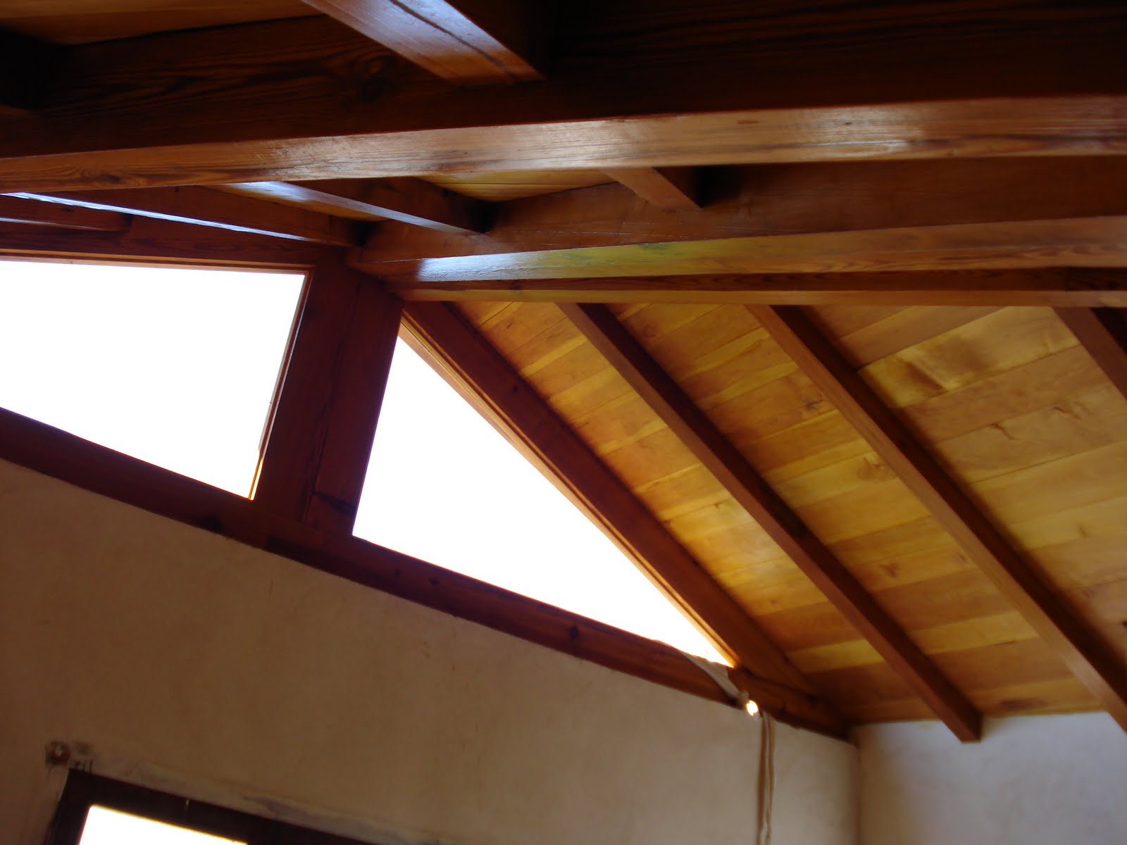 Martin Sanchez: Techo de pinotea y lenga