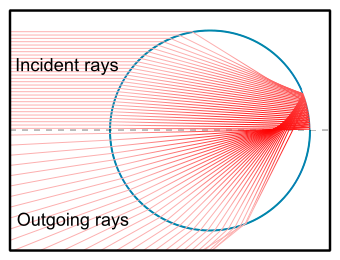 Cass.A.Williams: Light Distortion