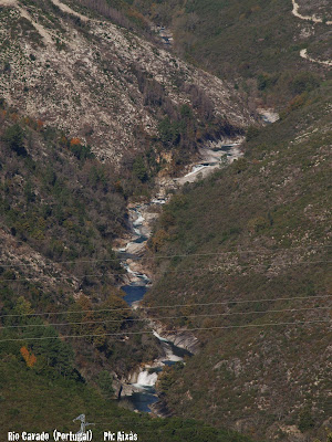 kayak: Portugal 4 " rio Cavado