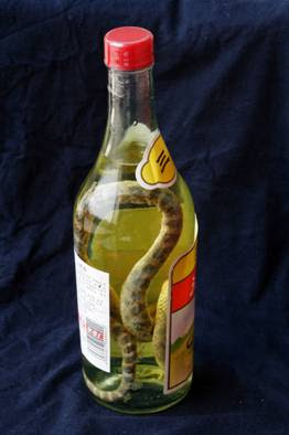 Drink Carefully: Snake wine