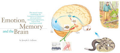 Trabajos de Investigación: LECTURA RECOMENDADA: "EMOTION, MEMORY AND ...