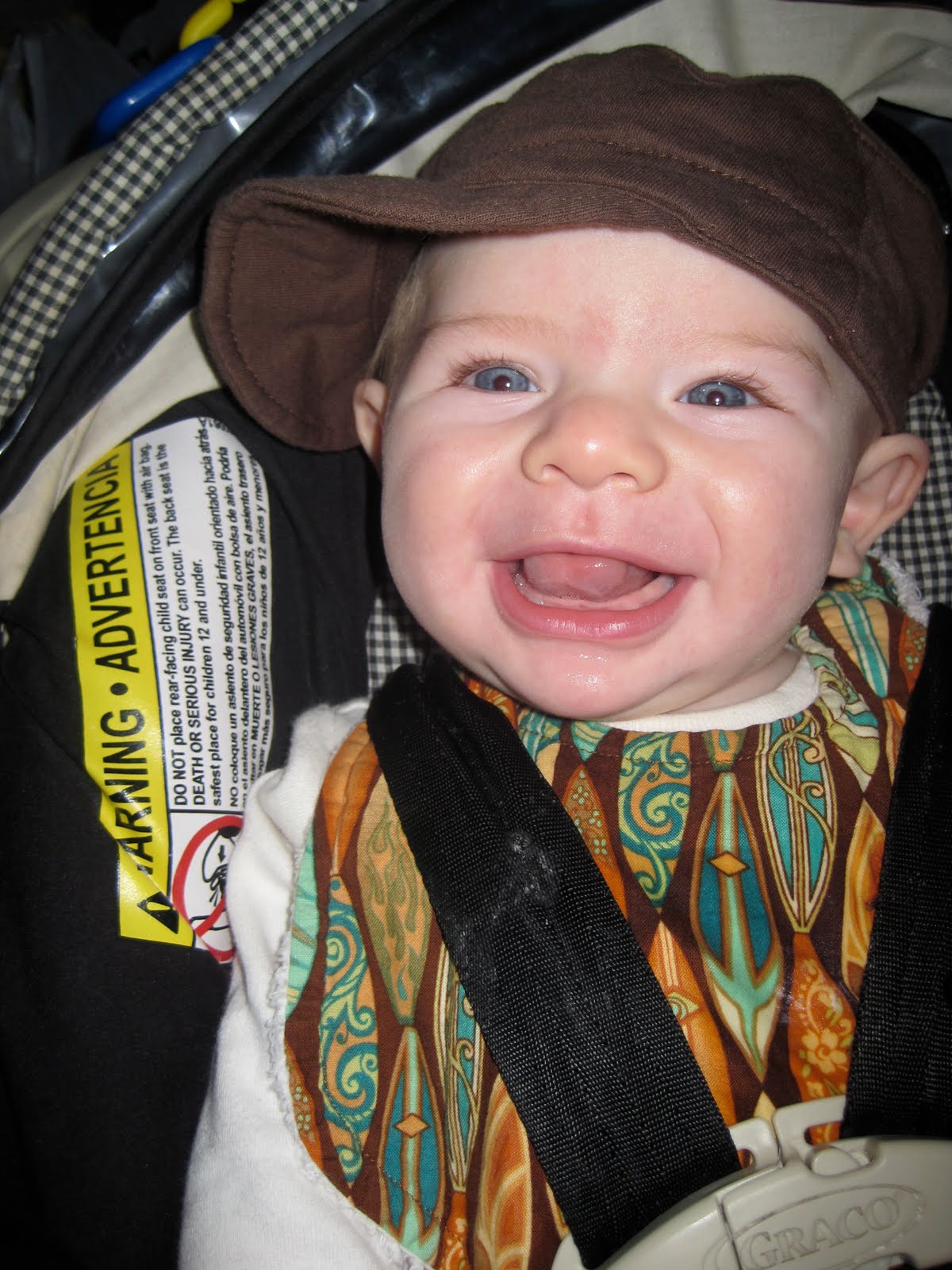 Lu Bird Baby: One Year Old!!