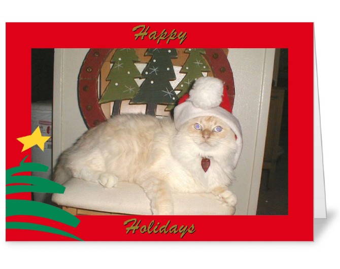 Love from the Kitchen: 2010