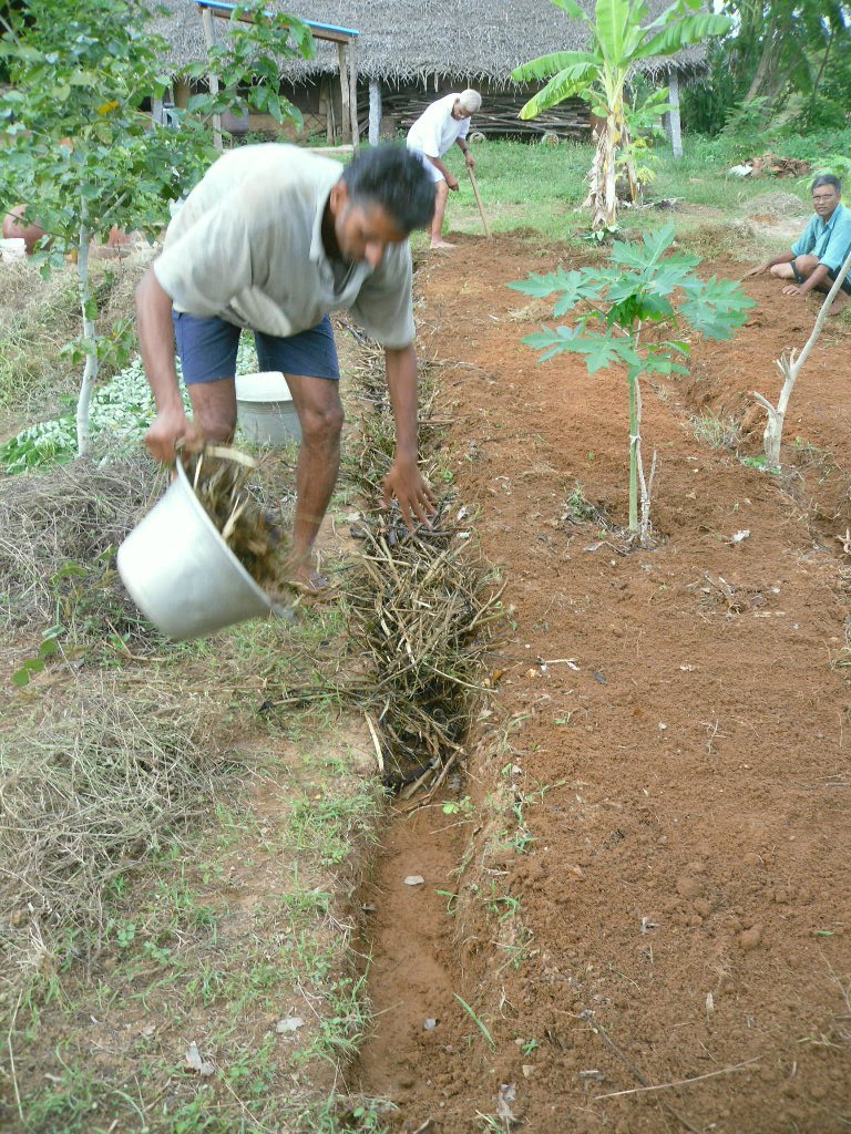 Farm, yeah: trench and mound for vegetables