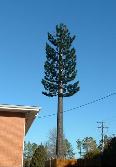 The Non-Dog Blog: The Cell Phone Tower Fake Trees