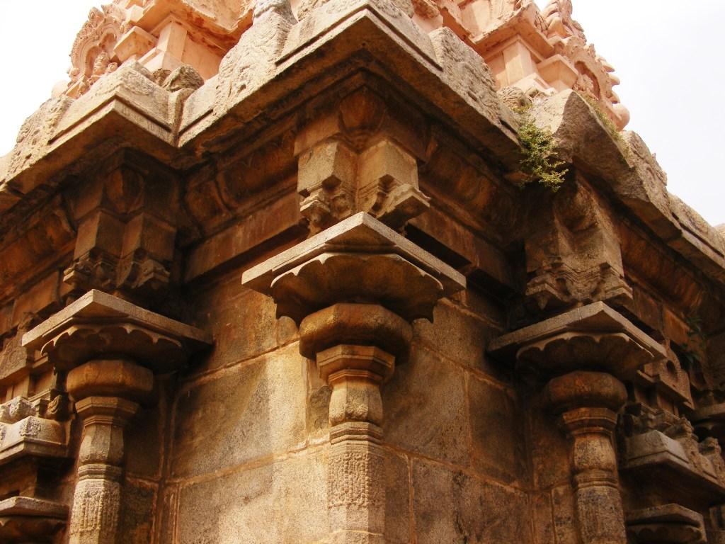 more to life...: Thirunedungulam-Thiruverumbur - May 16, 2010