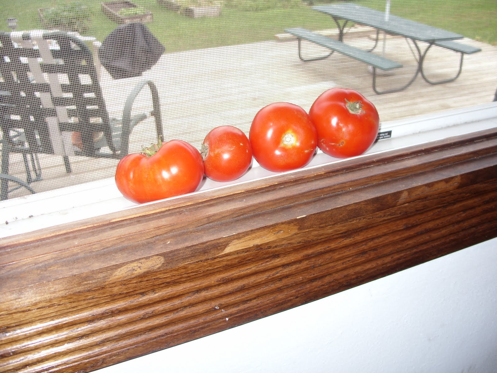 Susan's Pendulum: The Most Beautiful Window Sill