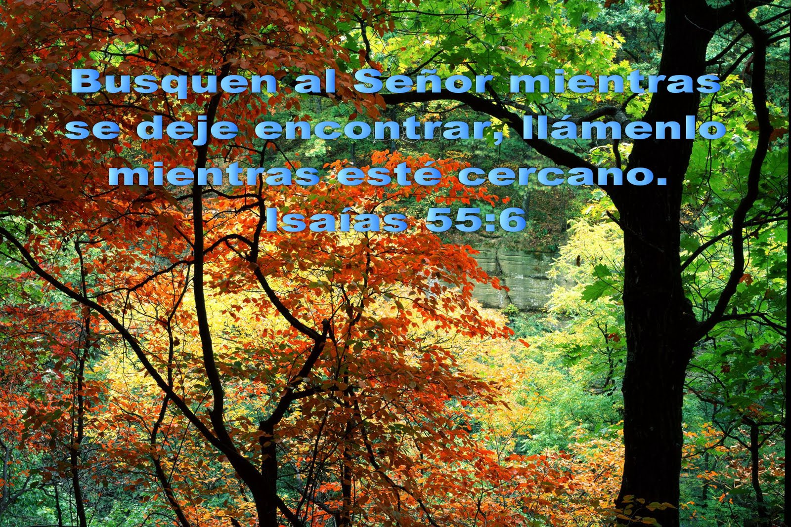 Biblia, paisajes y maravillas: Isaías 55:6