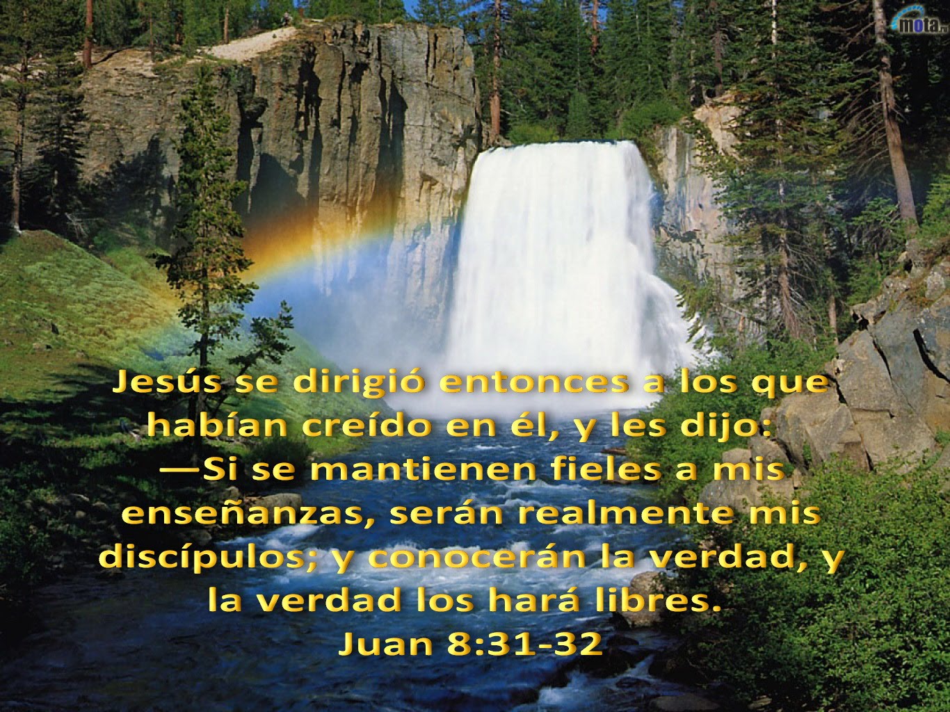 Biblia, paisajes y maravillas: Juan 8:31-32