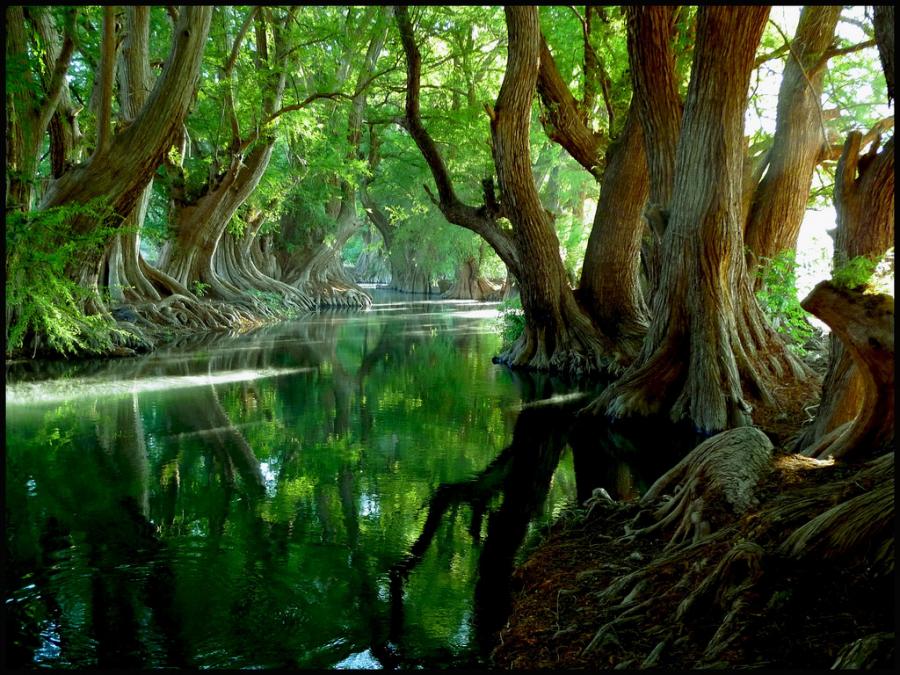 wallpaper 7: Beautiful Natural collections pictures