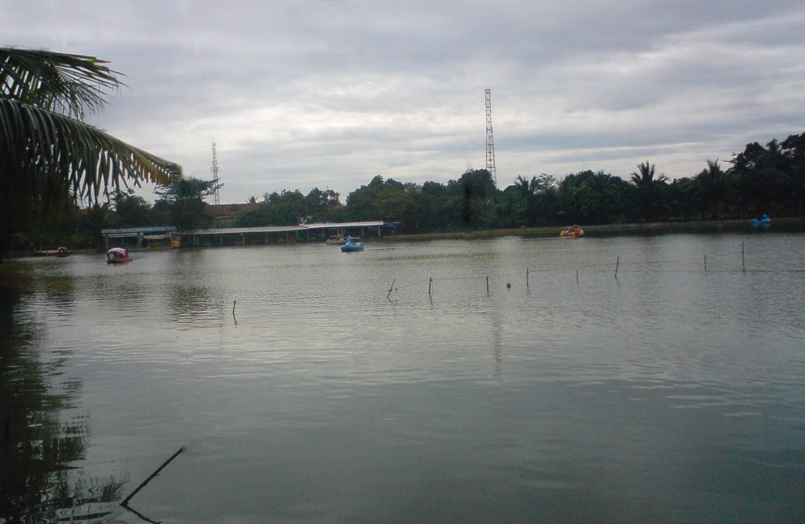 DEPOK EXPOSE: situ danau pengasinan depok