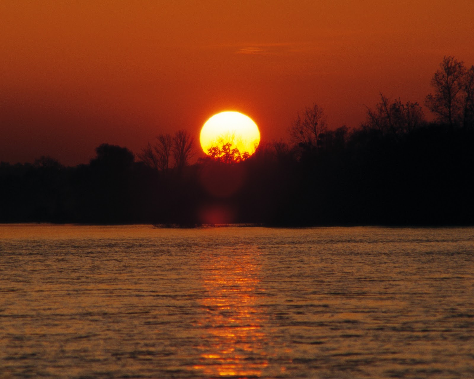 Photofusionvirtual: WALLPAPERS SOL