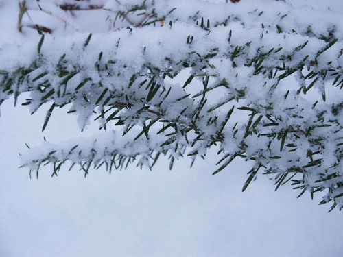 Barbara De Pirro 'artist-to-artist': 'crystalline: ice, snow, frost'