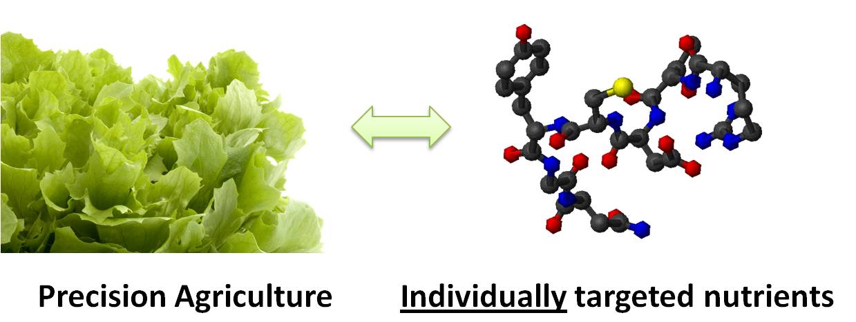 New Science and Social Markets: Agricultural Knowledge Economy