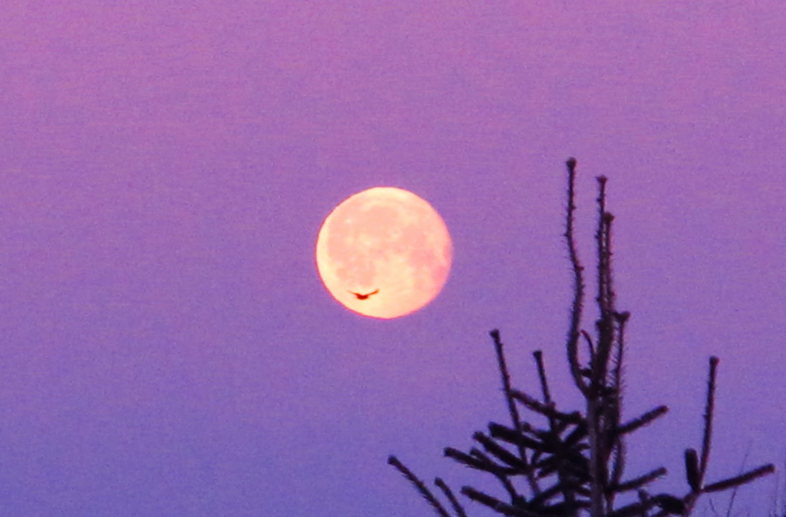 Life Through Reflections...: The Smiling Moon.