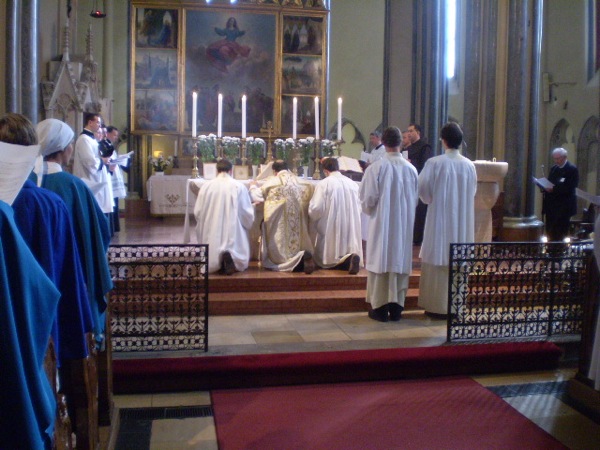 A Catholic Life: Zenit: Pope Points to Liturgy as Education on the Gospel