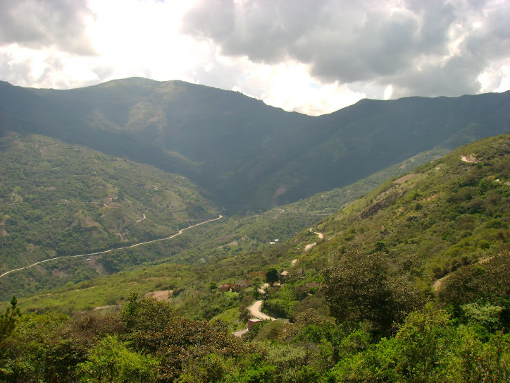 SUD YUNGAS: YUNGAS PARAISO DE BOLIVIA