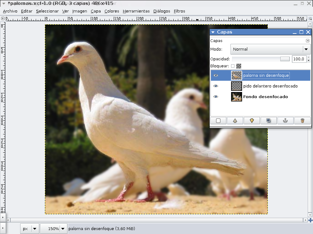 .Ejercitando Imagen Digital.: TIDSL103 - Enfoque - Desenfoque