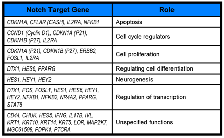 dellybean diary: Oncogenesis: Moving up and down a NOTCH.