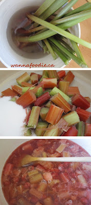 wannafoodie.ca: Rhubarb Raspberry Syrup