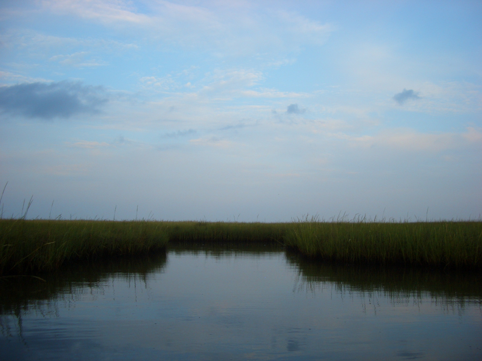 Artwork by Crystal Nolfo~Brown: Kayaking in Cocodrie, Louisiana