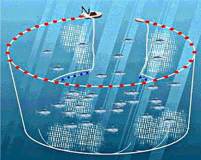 JUST SHARE ENTERTAINMENT AND EDUCATION: PURSE SEINE FISHING EQUIPMENT