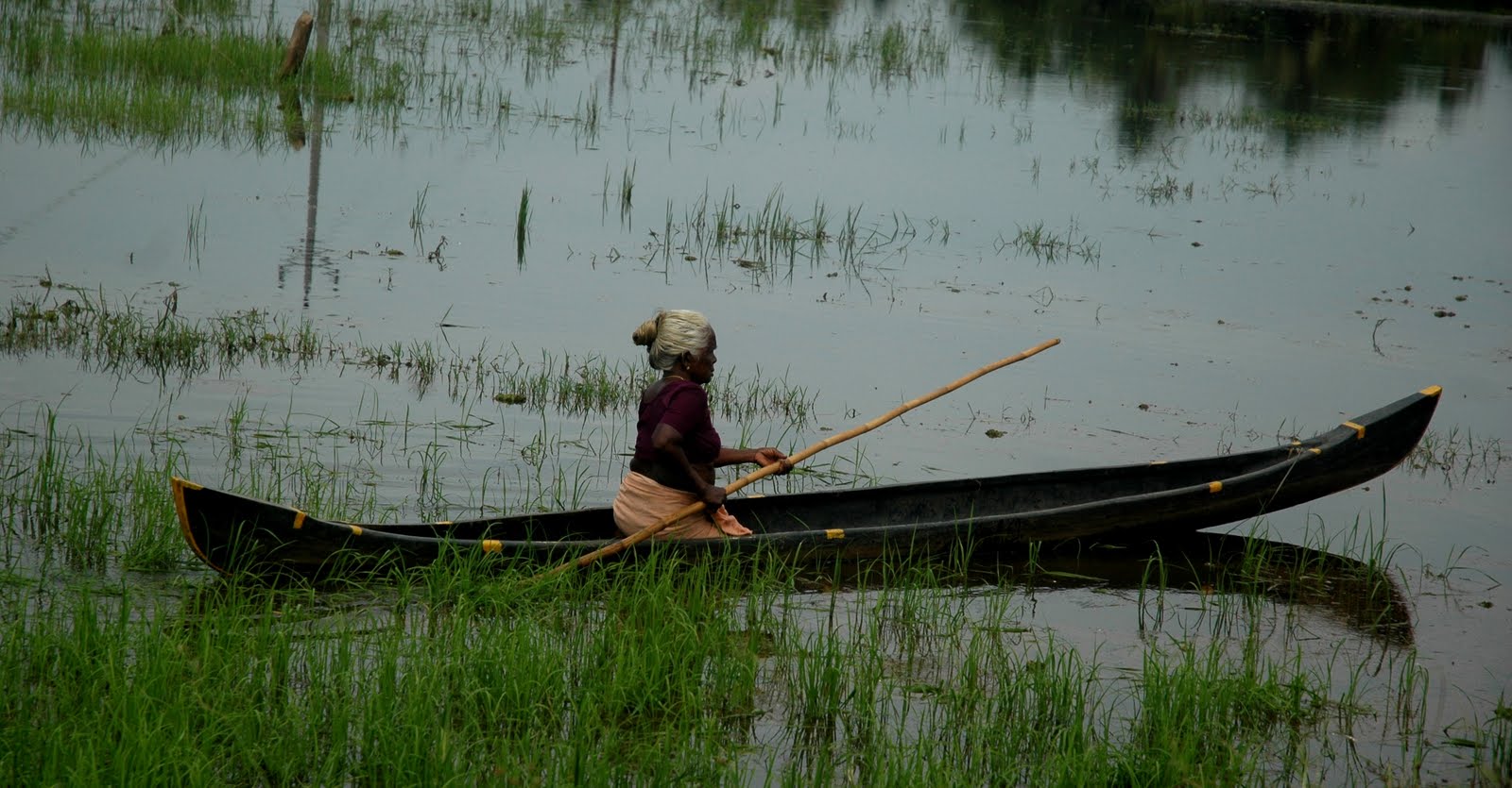 MONEY AND LIFE: WORD'S MOST BEAUTIFUL PLACE "KUTTANADU"(INDIA,KERALA)