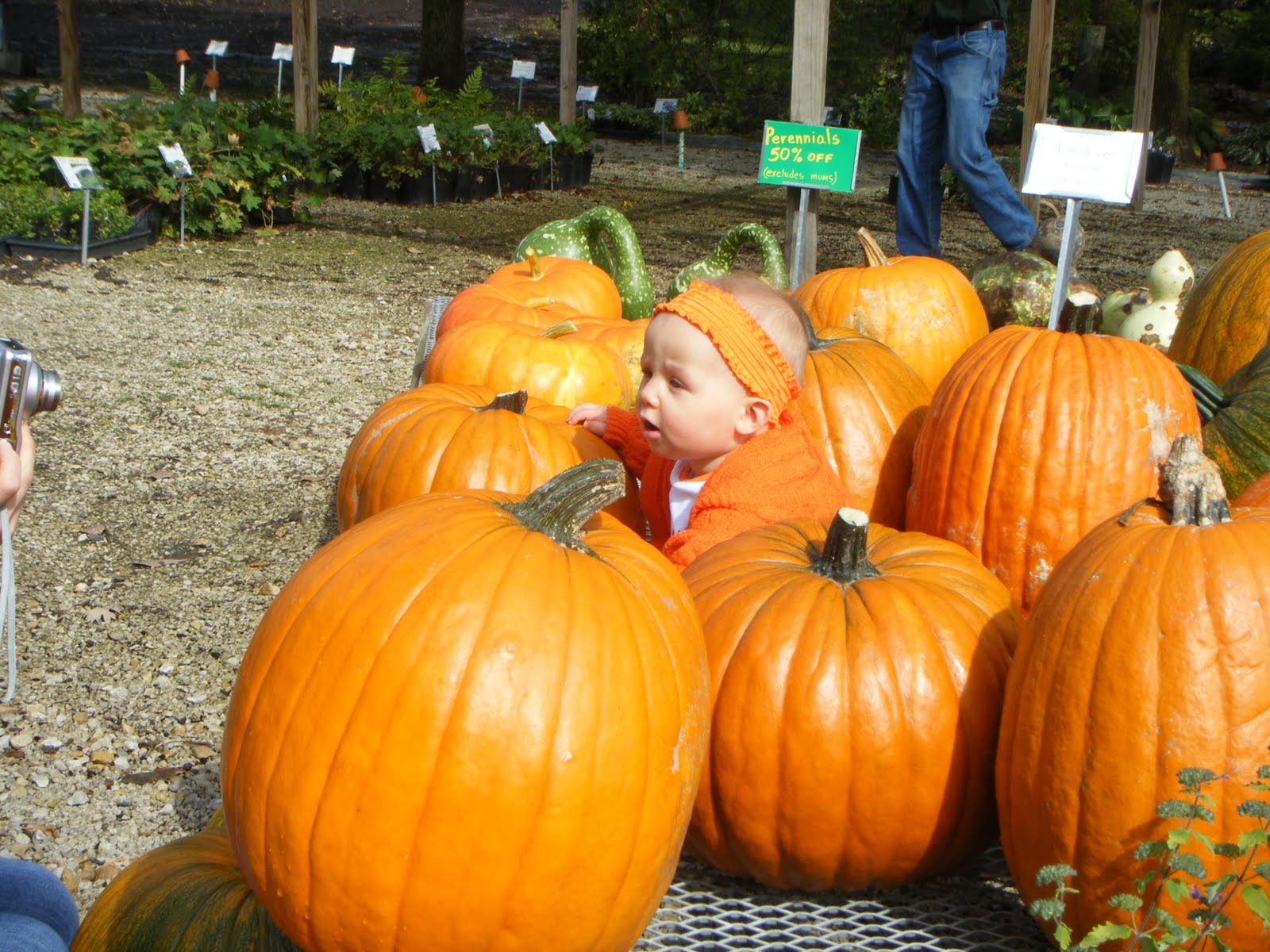 Gardening with Spring Bluff Nursery