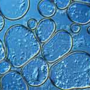 Comunidad Gedesa: La saliva puede ser usada para detectar enfermedades.