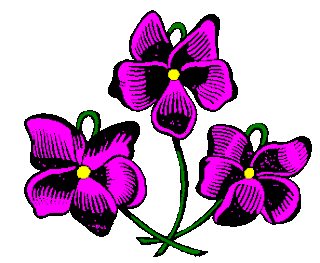 Somos maristas!!!: Tres Violetas