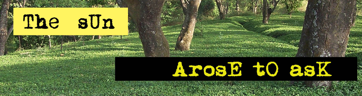 Doodlingthought Start AfresH doodlingthought-start-afresh